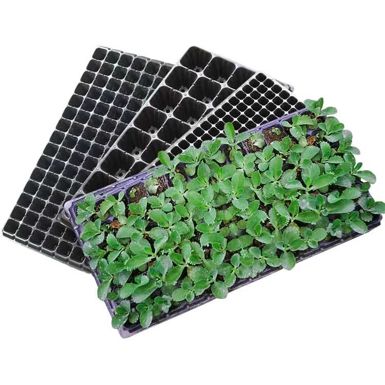 Plastic 21 Cells 50 Cells 128 Cells Garden Germination Plant Tray ...