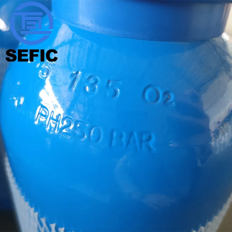 Small Oxygen Cylinder 5L 150bar - Portable Medical Tank