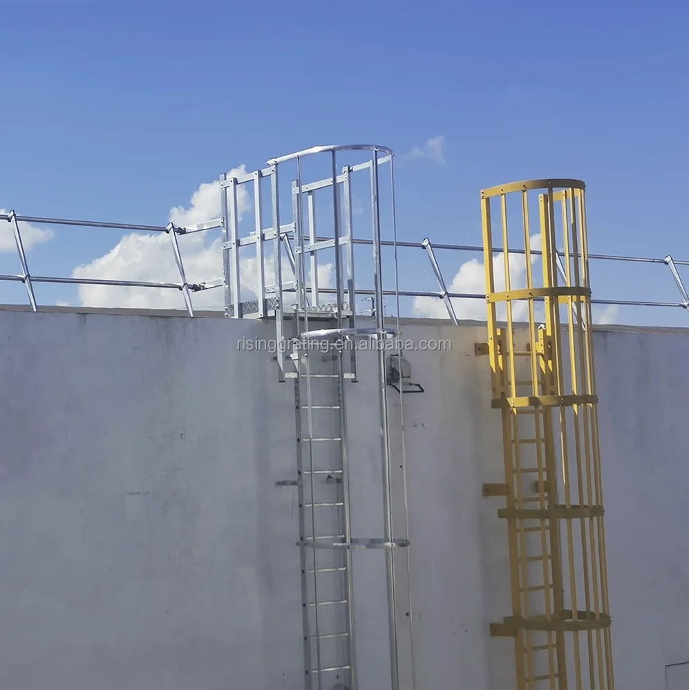 Galvanized Steel Safety Cat Cage Ladder with 2-Year Warranty