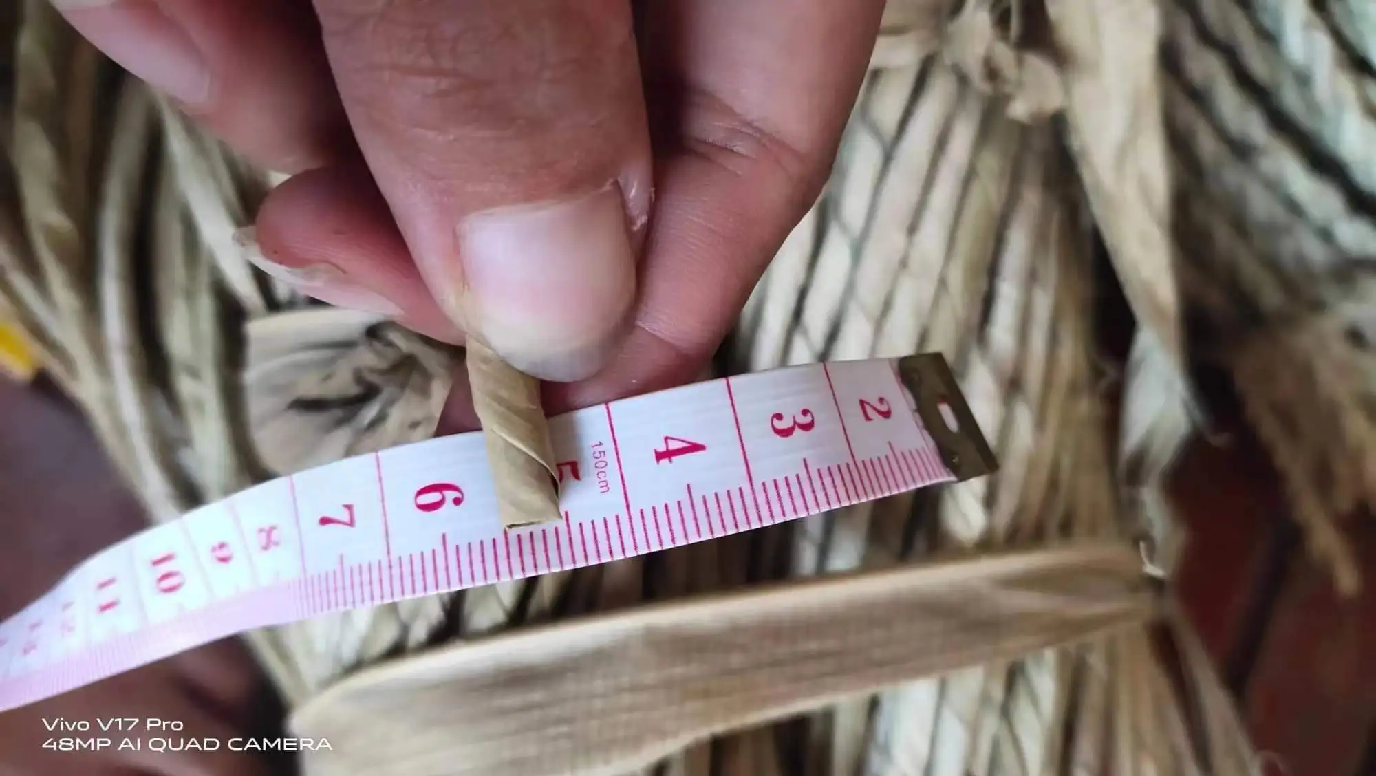 Philippine Buri Rope - Natural Fiber for Crafts & Baskets