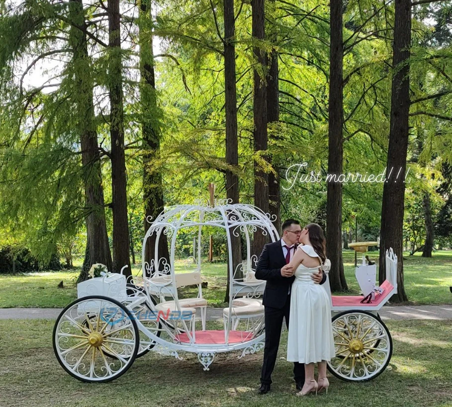 White Electric Cinderella Pumpkin Horse Cart/electric Horseless ...