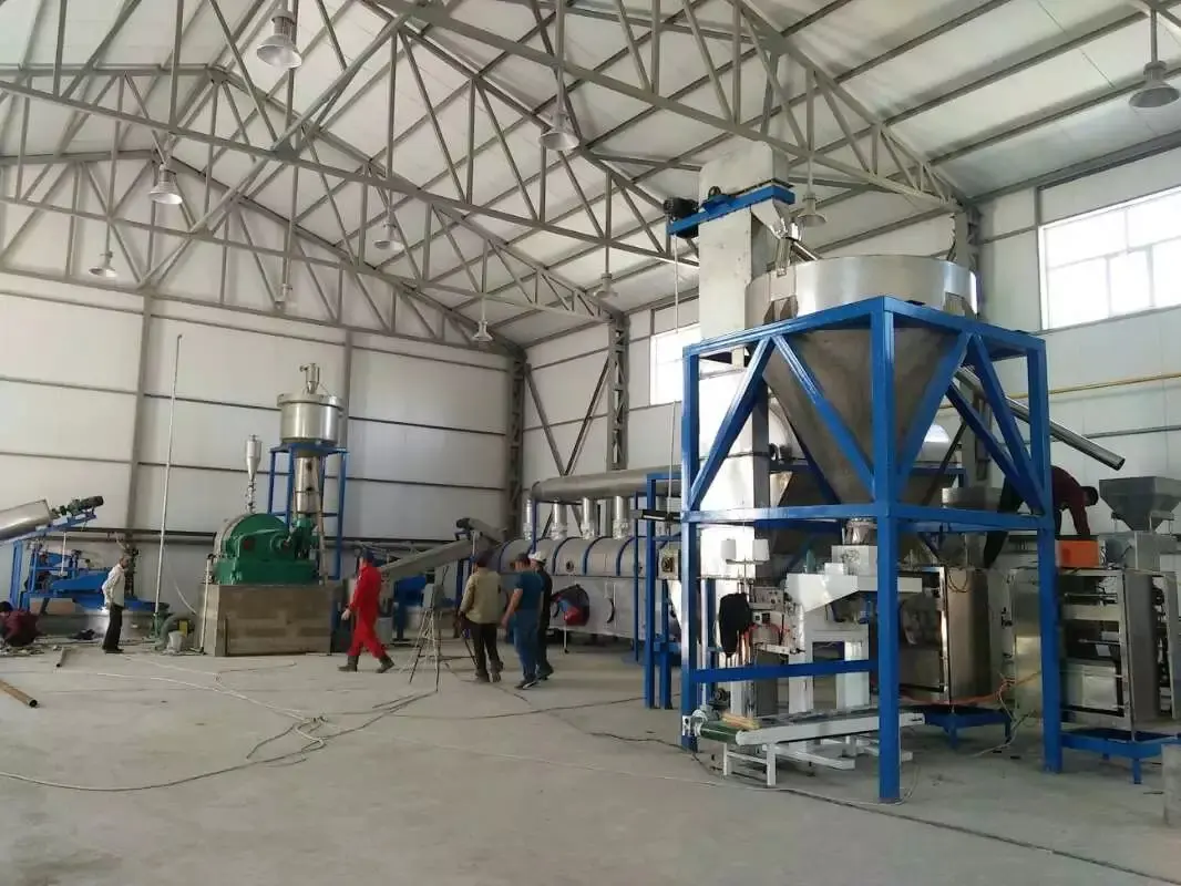 Iodized Sea Salt Production Line - Refine Crude Rock Salt