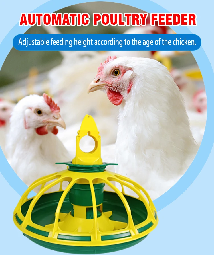Lz Automatic Poultry Farm Broiler And Breeder Feeding System Chicken ...