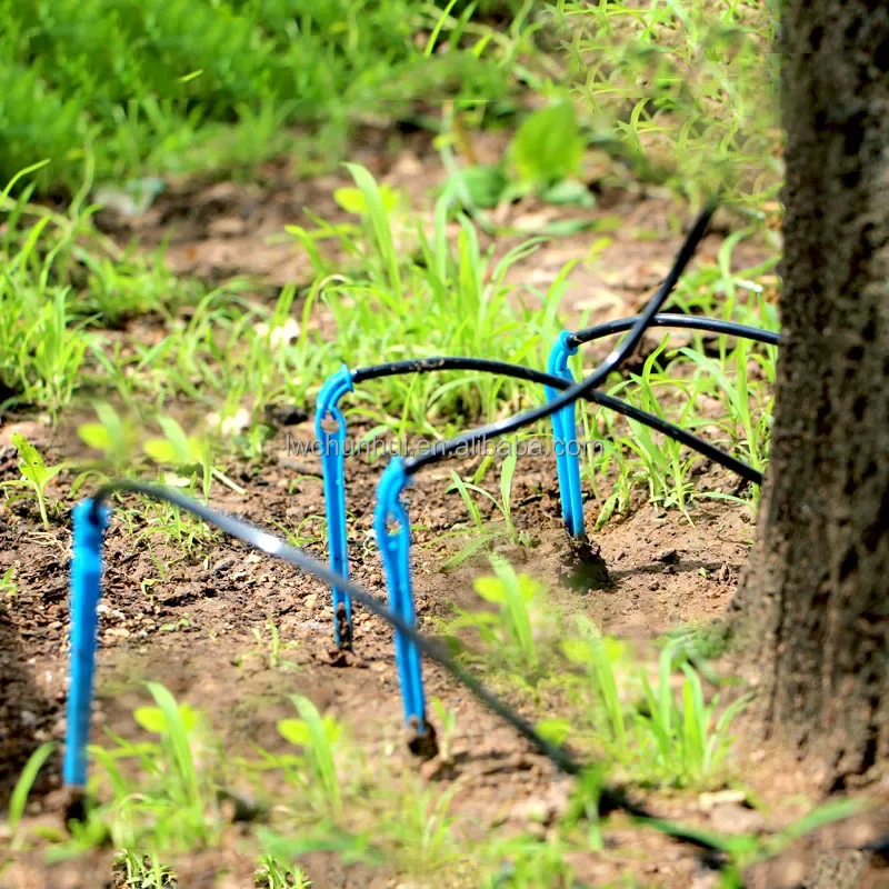 Drip Irrigation System Spider Drip Arrow Dripper Fro Garden Irrigation ...