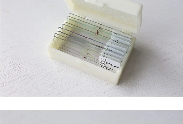 Malaria Prepared Biology Parasite Slides - 10 Clear Cell Staining ...