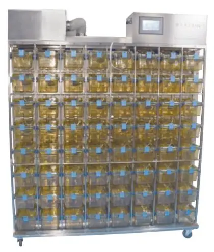 RITAL Rat IVC System - Efficient Lab Rodent Breeding