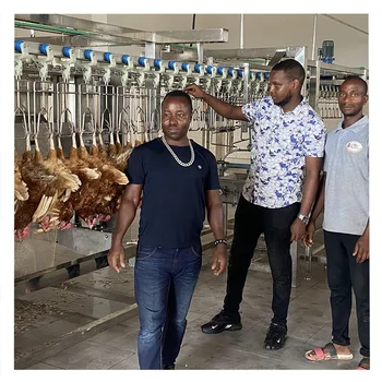 Automatic Halal Poultry Farm Broiler Slaughterhouse Abattoir ...