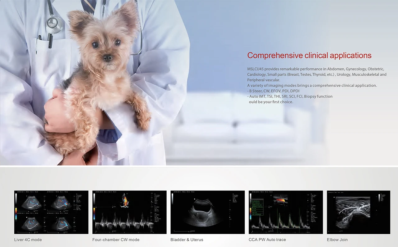 Portable Zoncare M5 Ultrasound Equipment - Digital Vet Diagnostic Color ...