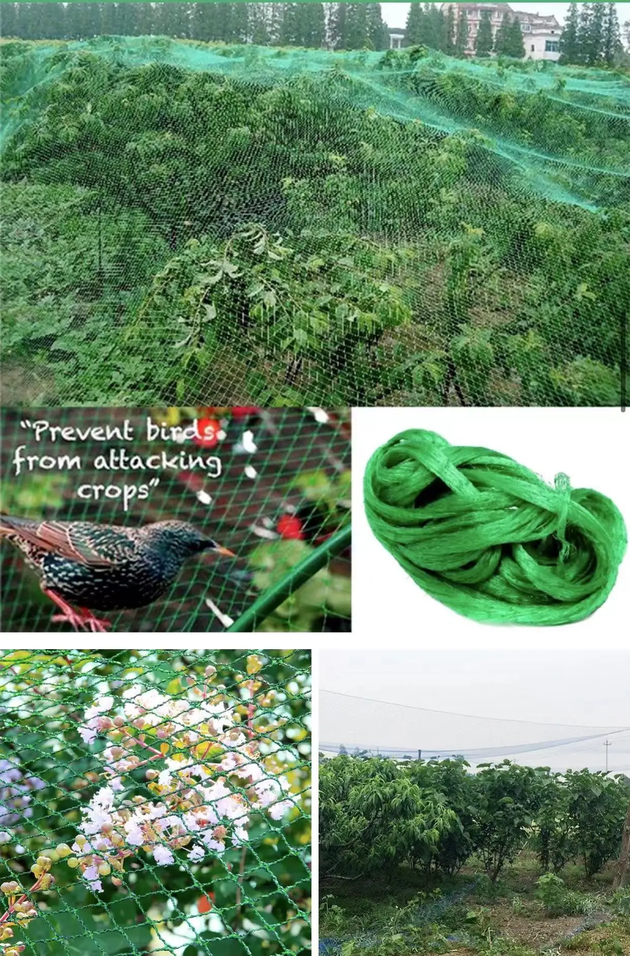 Agricultural Hdpe Insect Proof Net Bird Proof Net Orchard Protection ...