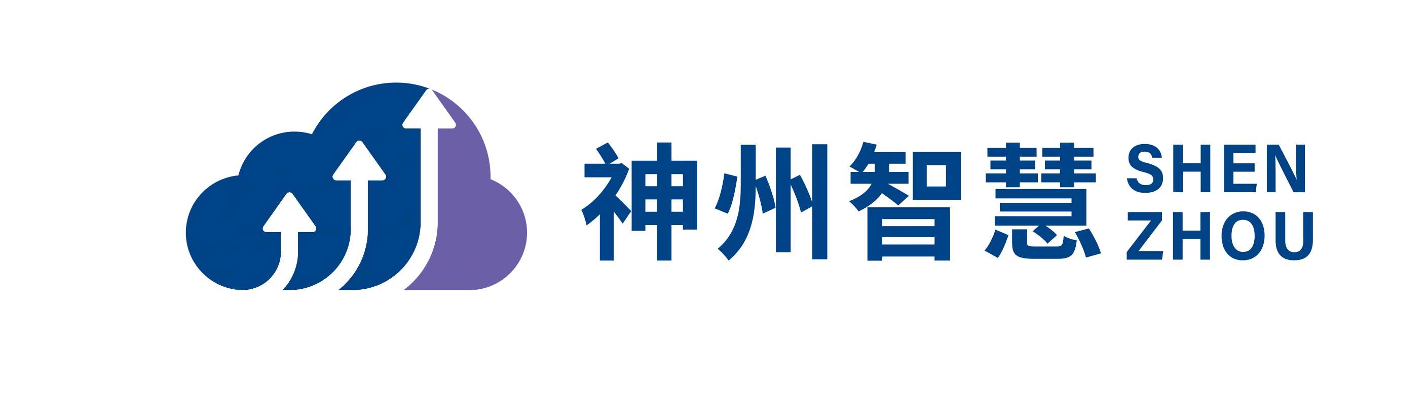 Company Overview - Shenzhen Shenzhou Wisdom Information Technology Co., Ltd.