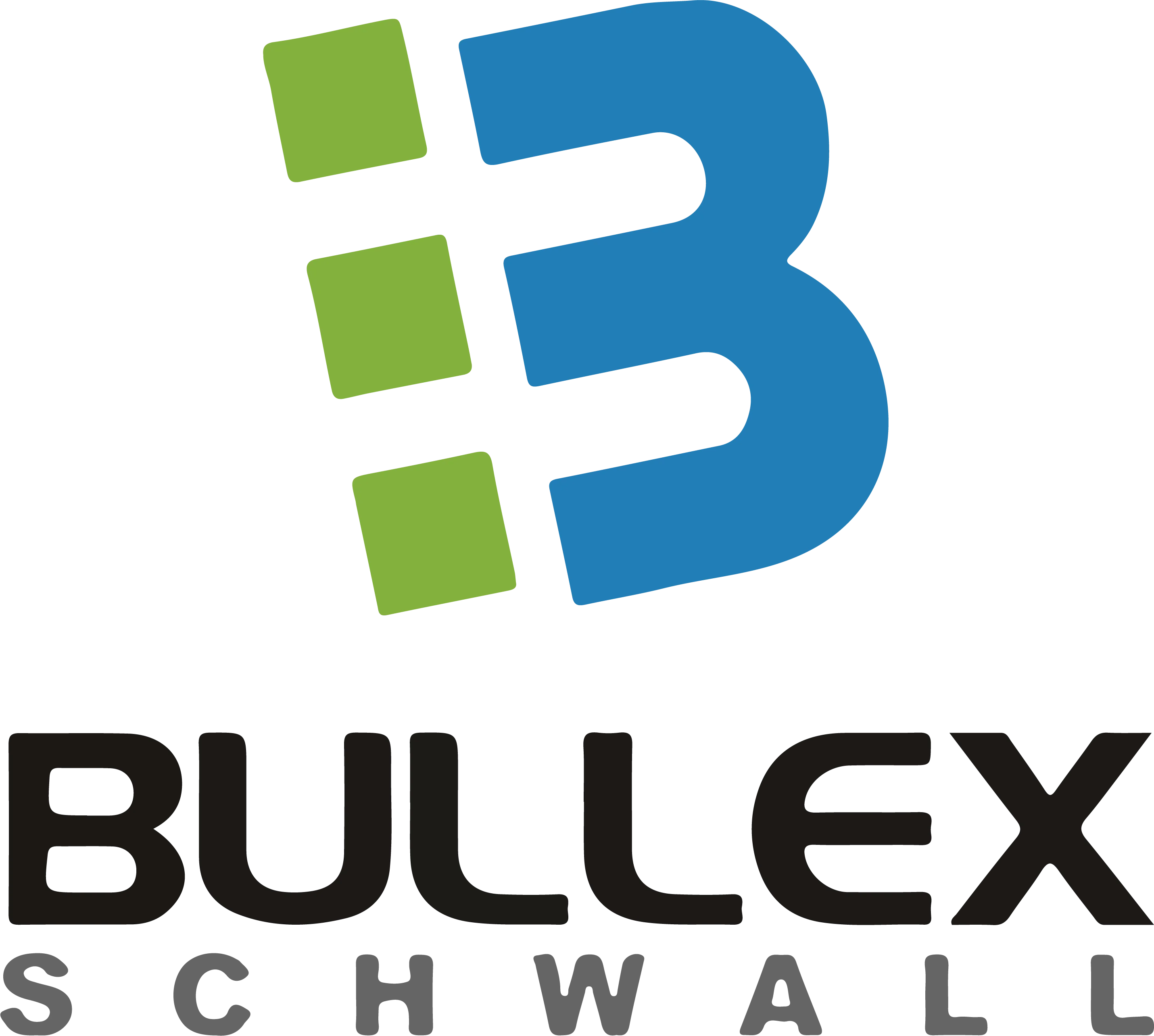 Company Overview - Shandong Bullex-Schwall Composite Material ...