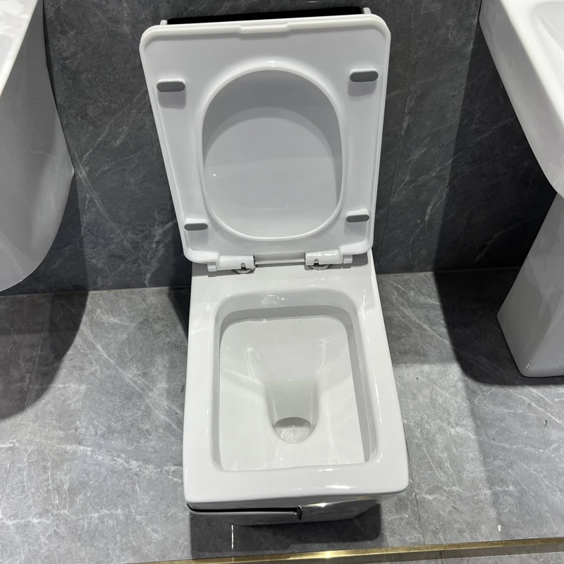 Commode Toilet Bowl Water Closet Siphonic Ceramic Luxury Carton Packing ...