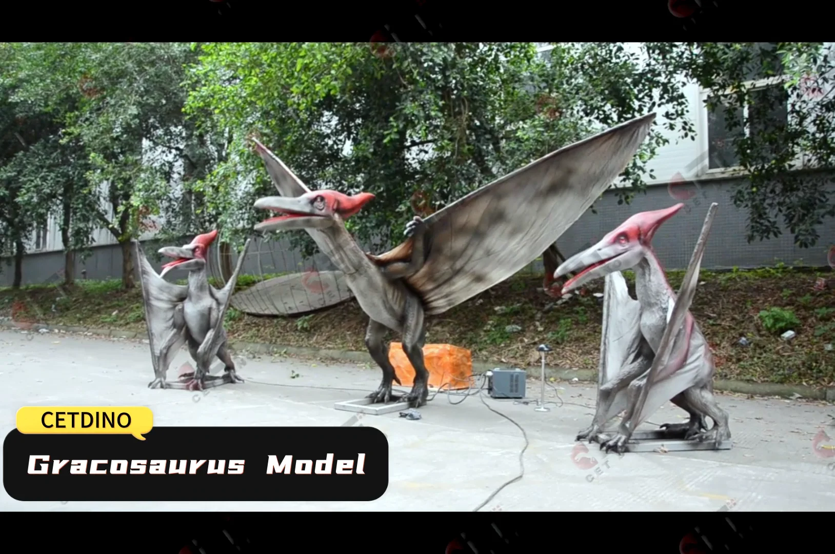 Simulation Of Electric Dinosaur Pterosaur Realistic Large-scale Theme ...