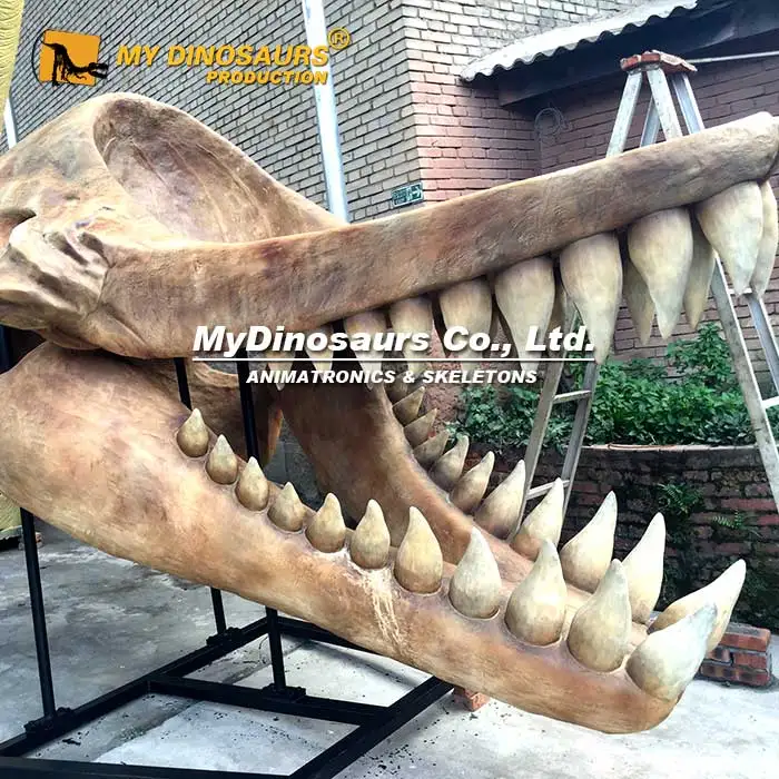 Mijn Dino D43 Dieren Walvis Hoofd En Skeletten Standbeeld Te Koop ...