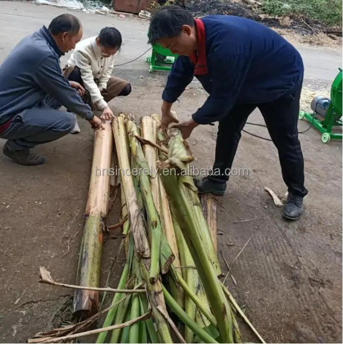 Banana Tree Crusher - Efficient Multi-Functional Machine