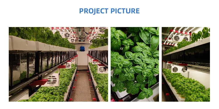 Vertical Farming Grow Rack System Container Style Aeroponic ...