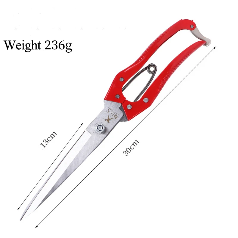 Sheep Wool Shear Beiyuan Shearing Scissors Shearing Bigornia For Sheep ...