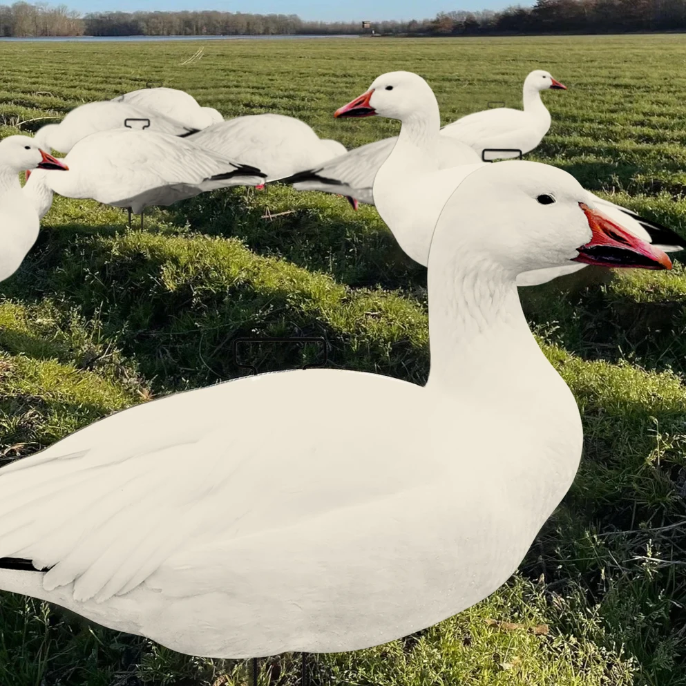 Light Weight Eva Plastic Flocked Silhouette Geese Decoy Juvenile Snow ...