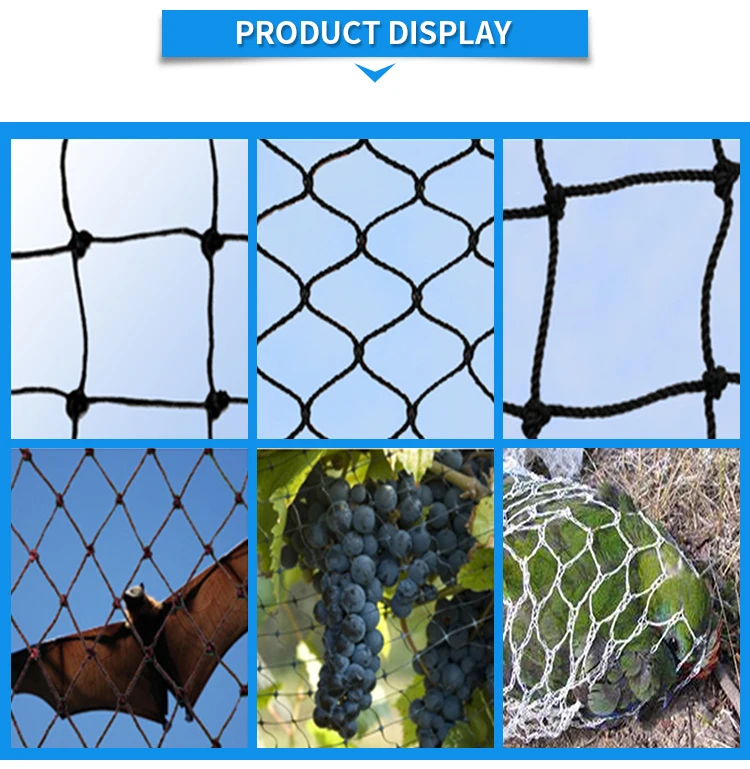 High Quality Anti Bird Protect Netanti Bird Proof Net For Vineyard ...