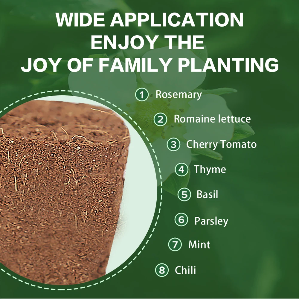 Coco Peat Growing Plugs Starter Sponges Soil Clone for Flowers ...