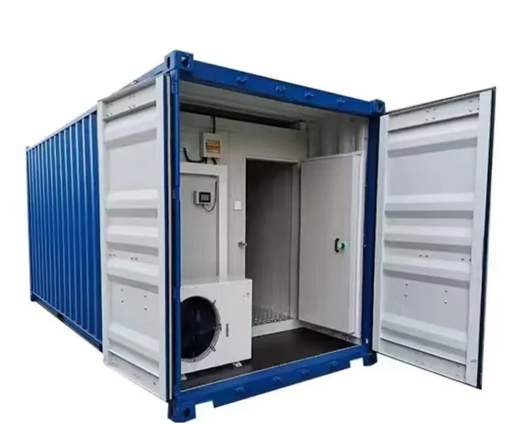 20ft 40ft Container Refrigeration Blast Freezer Cold Room Storage For ...