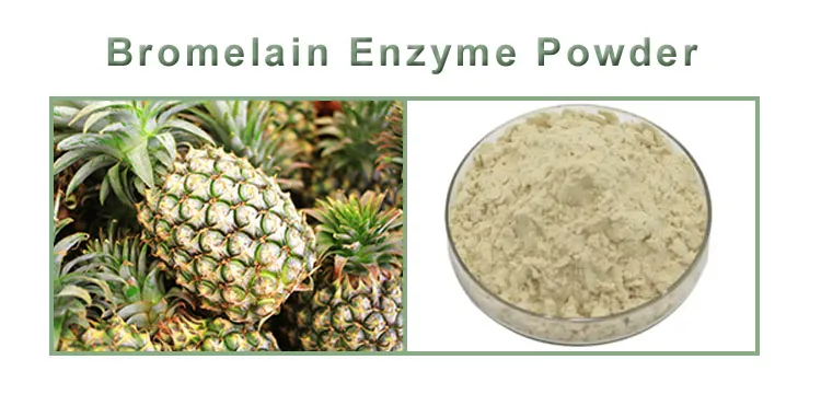 Hot Sale Wholesale Bulk Price Pineapple Extract Powder 2400 Bromelain ...
