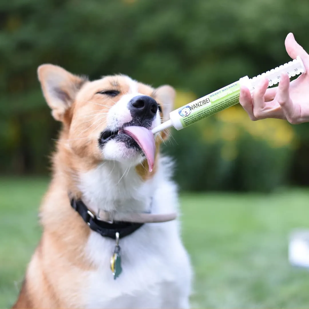 Oral Probiotic Gel- Supports Normal Digestive Balance - Vitamin For ...