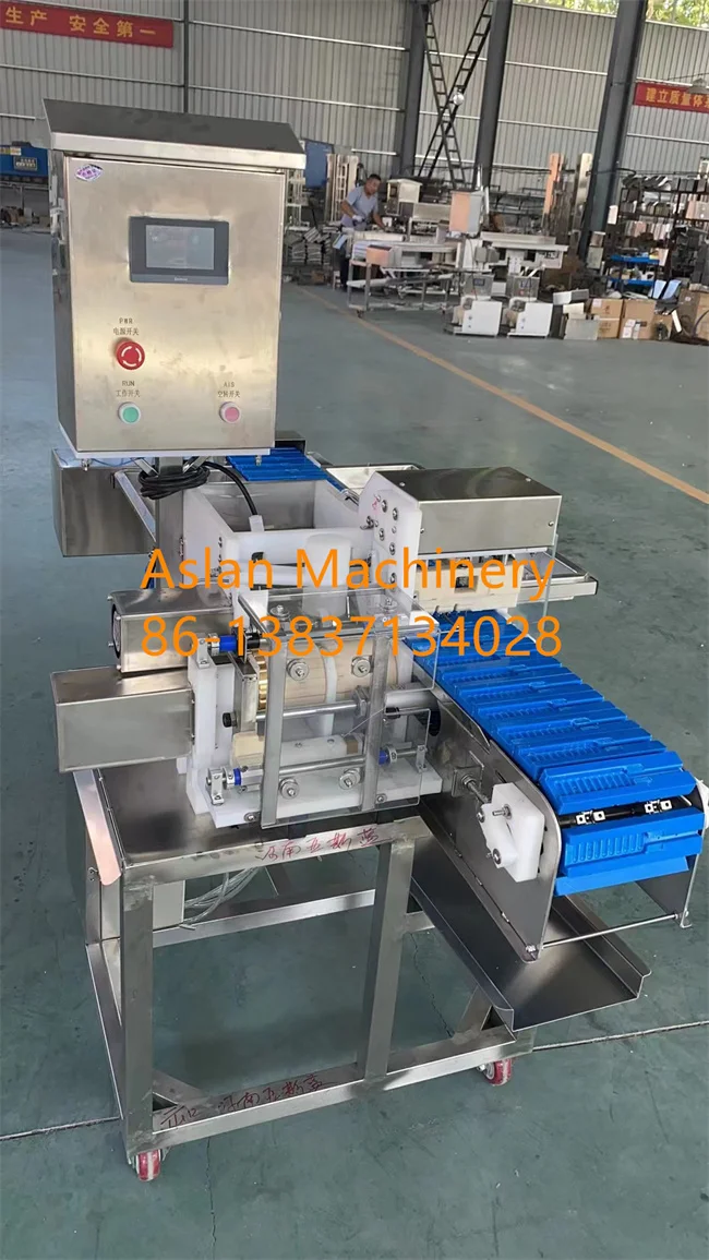 Beef Chicken Satay Meat Skewer Machine - 3000pcs/h Capacity