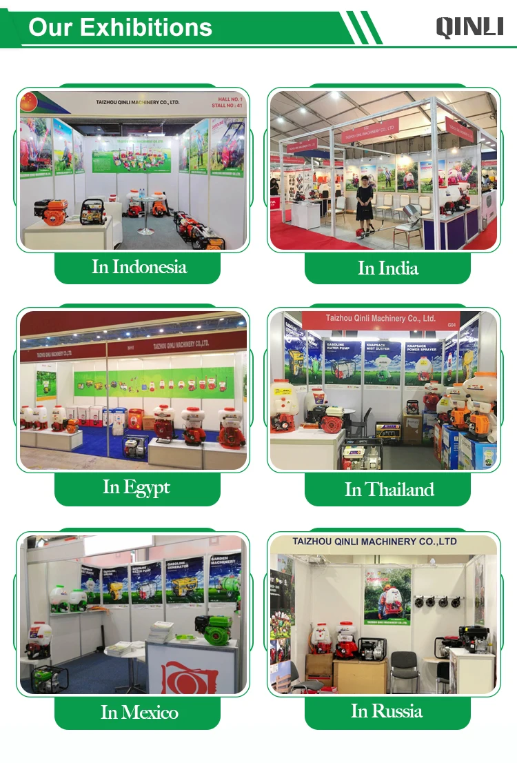 CE Certification 20L KNAPSACK MIST DUSTER POWER SPRAYER for ...