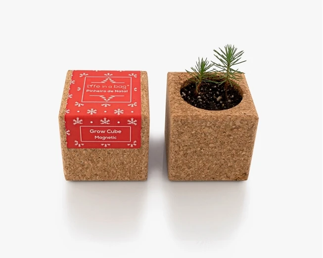 Red Christmas Tree Grow Cube Bonsai Starter Kit Grow Your Own Gardening ...