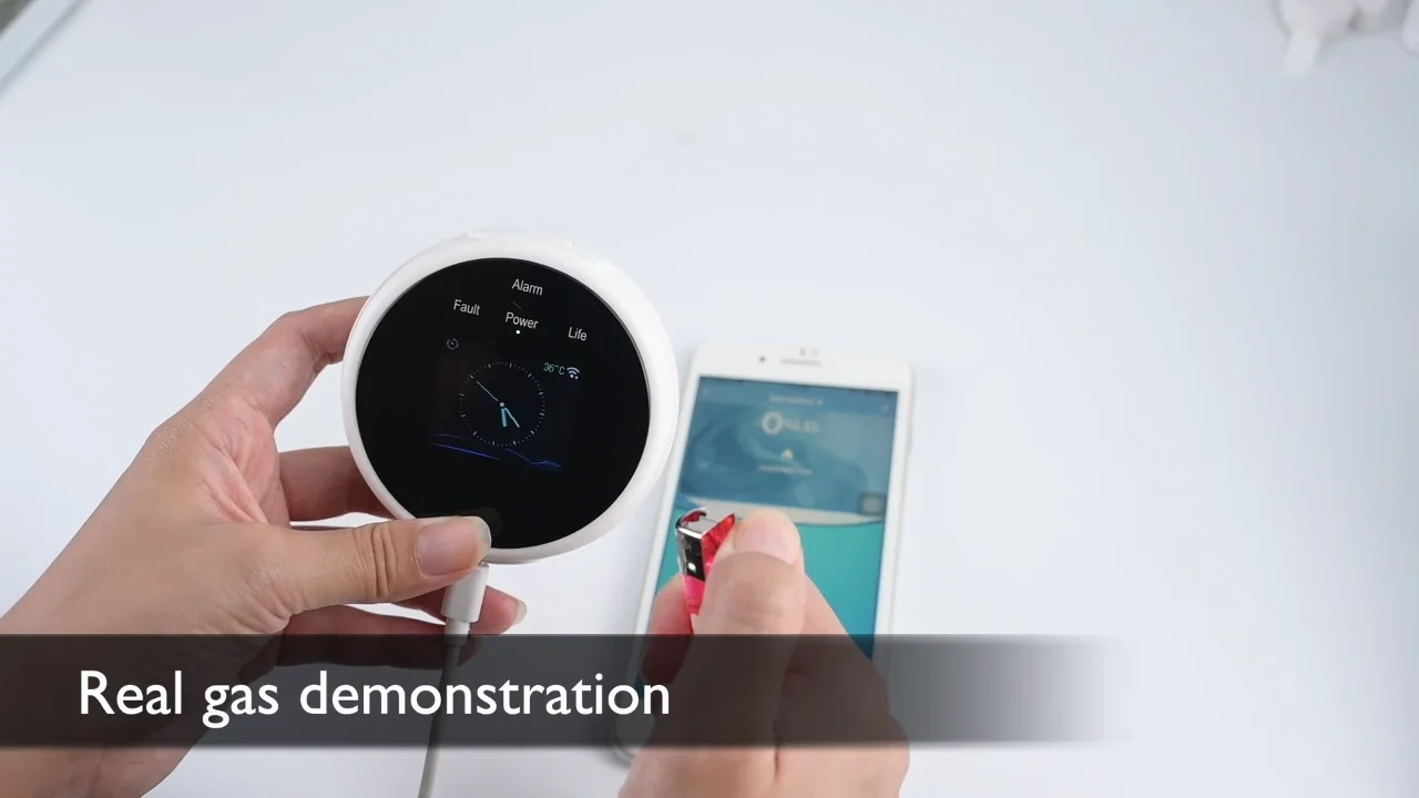 Wireless Smart Temperature Sensor Tuya Wifi Gas Sensor Alarm Smart Life App Methane Natural Gas ...