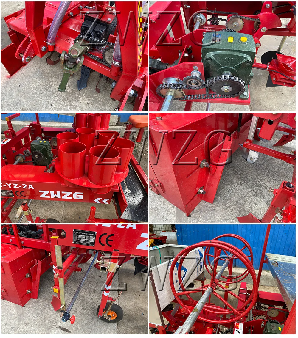 2-Row Pineapple Seedling Transplanter with Gearbox for Efficient ...
