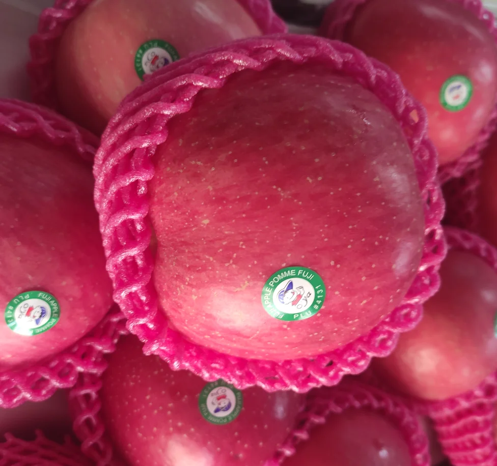 China Top Sale Grade Fresh Red Apples Natural Organic Red Apple ...
