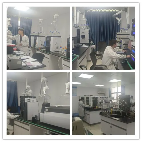 Bacopa Monnieri Extract 5:1 10:1 20:1 Bacopasides 50% Powder - Buy ...