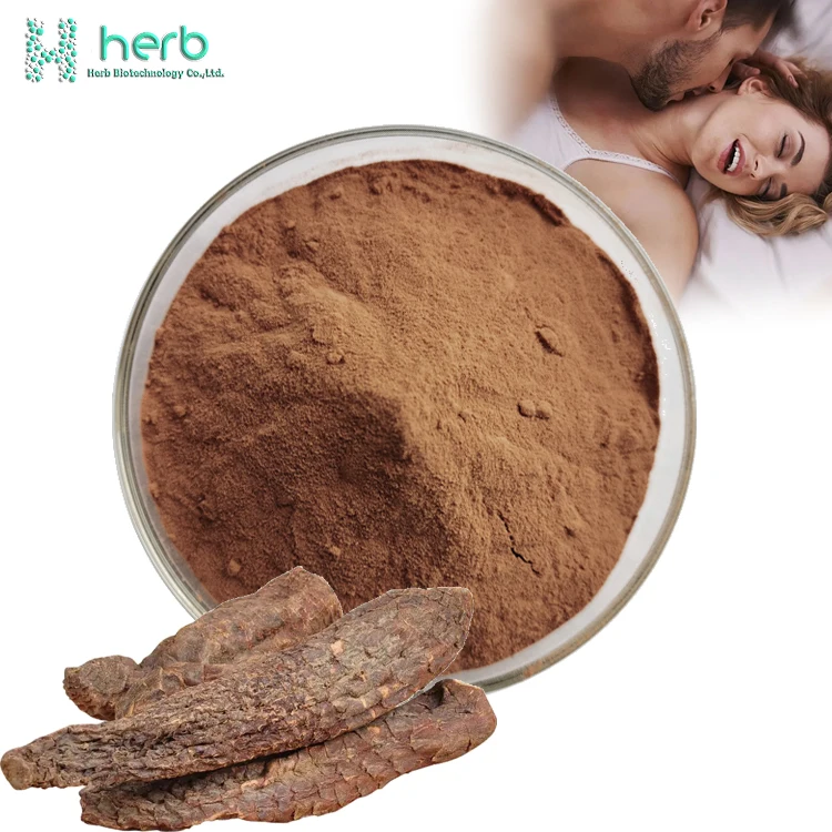 High Quality Cistanche Tubulosa Extract - 10:1 & 20:1 Powder