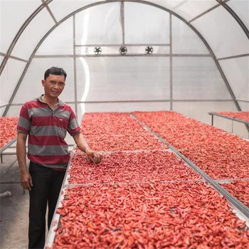 Food Dry Net Chilli Pepper Dryer Solar Drying Dome Greenhouse - Buy ...