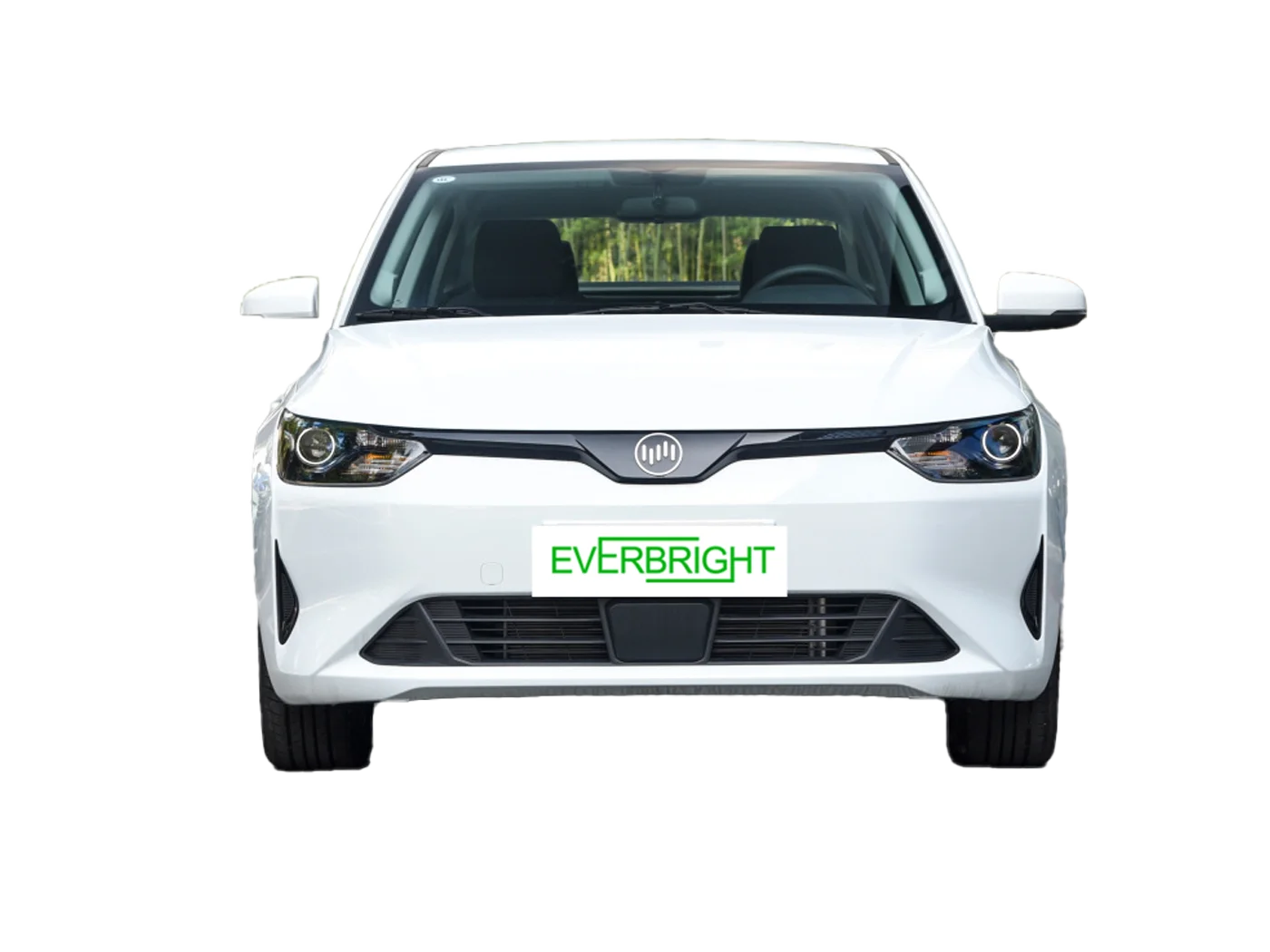 WM Motor Weltmeister E5 - 505 KM Range Electric Car