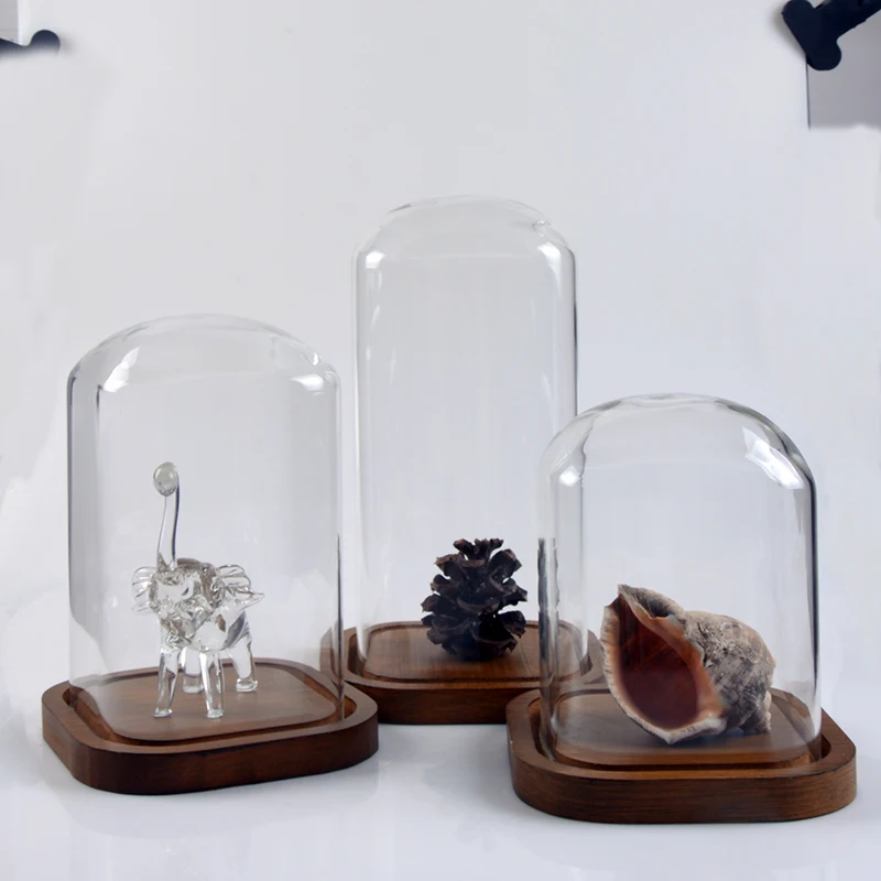 Square / Oval Glass Dome With Wood Stand - Buy Square Glass Dome With ...