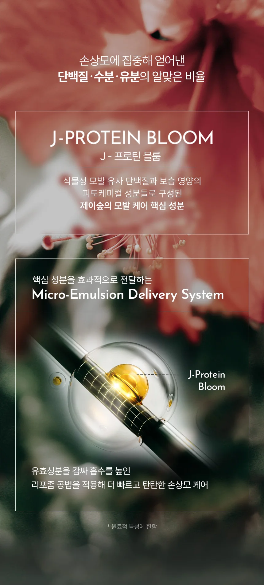 Jsoop Silk Keratin Shampoo 2X 500ml Protein Shampoo for Damaged Hair Providing Firm Hair Care ...