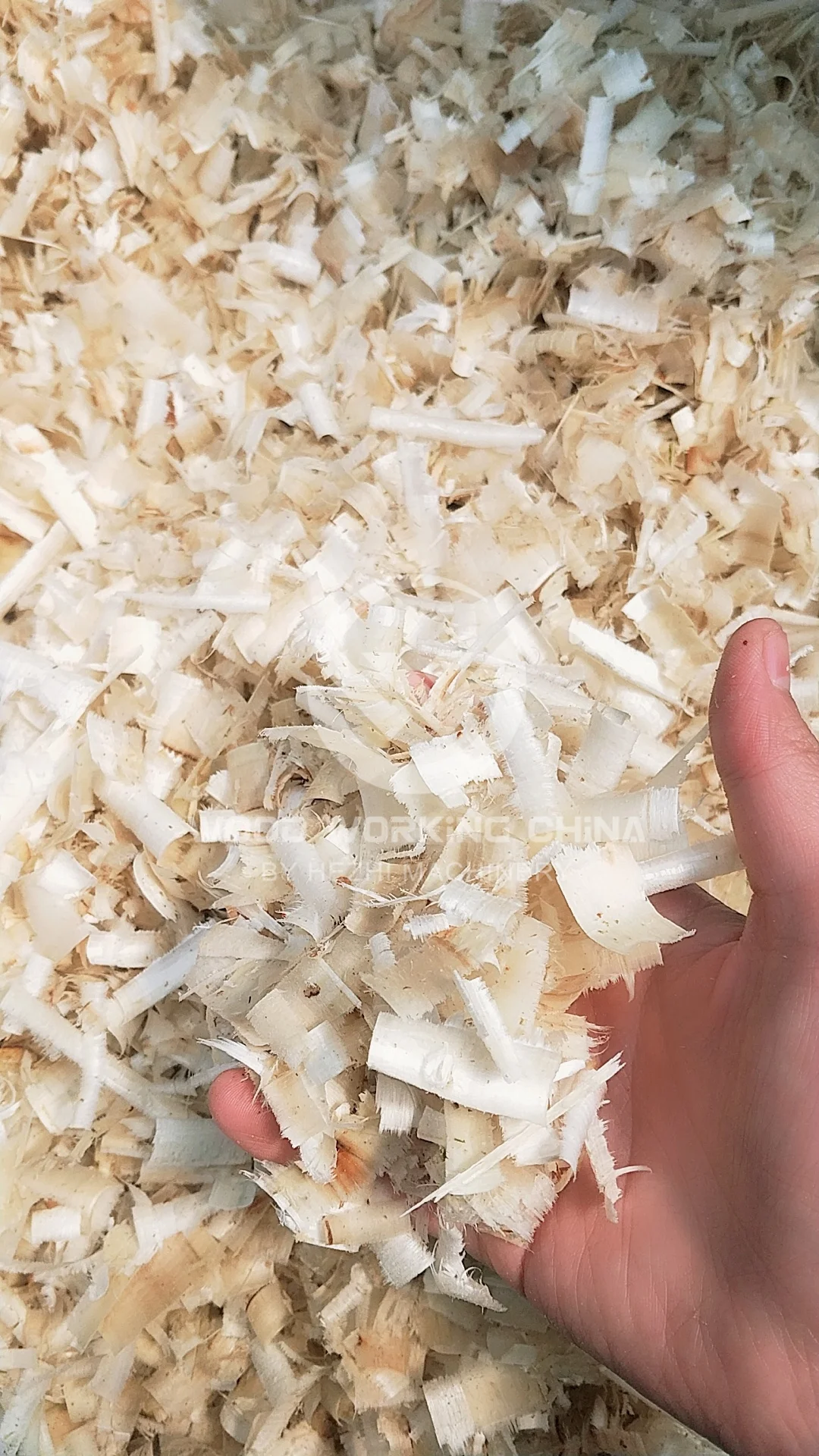 Wood Shaving Chips China Sawdust Shavings Press Baler Machine for Pet ...