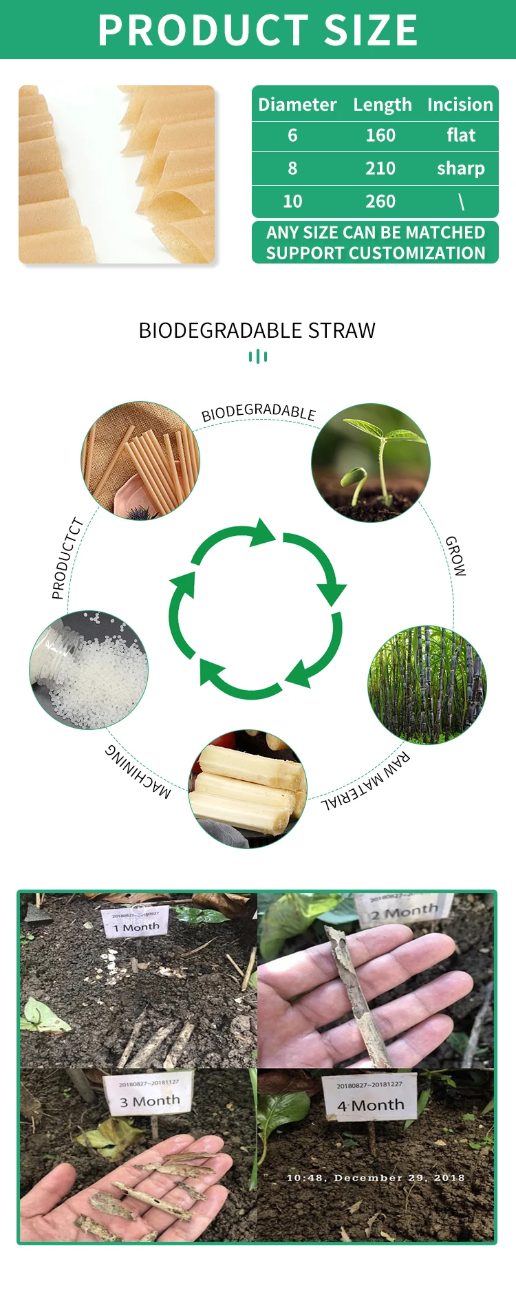 2023 Individual Wrapped Sugarcane Bagasse Straw Compostable ...