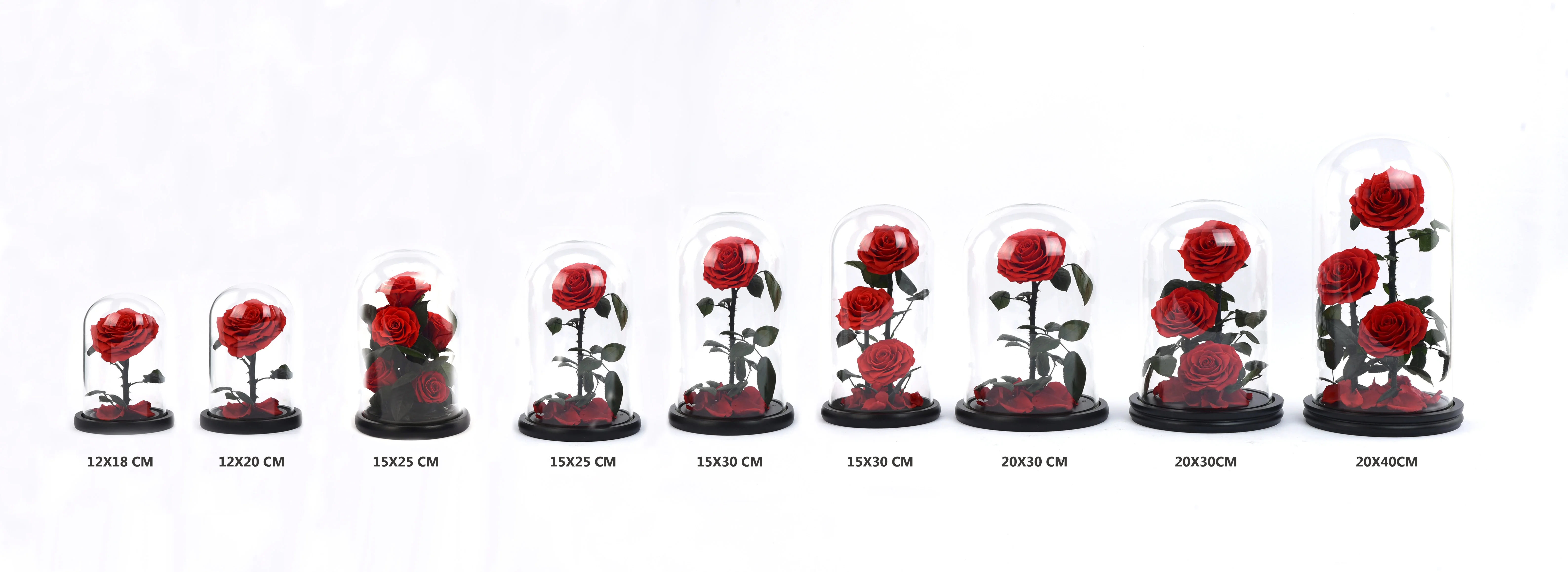 Decor Natural Lasting Everlasting Roses Immortal Forever Eternal ...