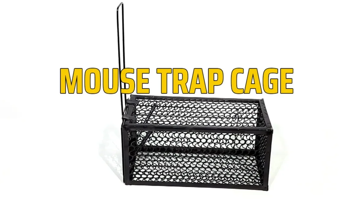 Humane Rat Mouse Trap,Small Rodent Animal Cage,Rat Mouse Cage Trap Easy ...