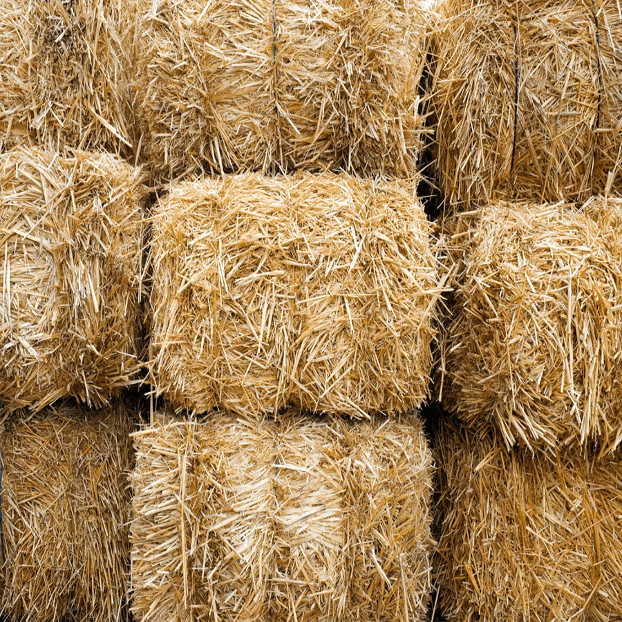 Best-quality Organic Animal Feed At Wholesale Rates,Pakistan's Foremost ...