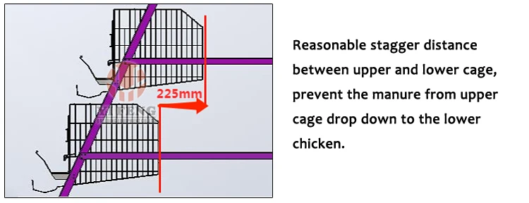 Fowl Poultry Carrier Box Three Doors Adult Chicken Transportation Cage ...