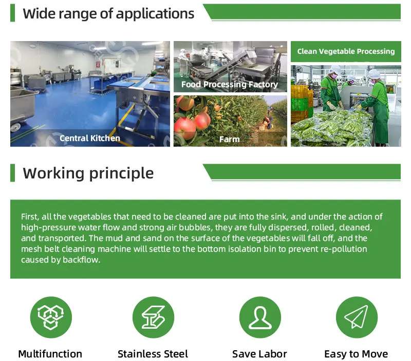 Efficient Avocado Washing and Sorting Machine by GELGOOG