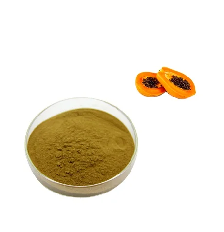In Stock Free Sample High Quality Papain Enzyme Powder Papaya Extract ...