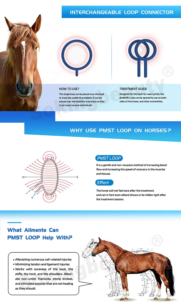 Pulsed Electromagnetic Field Pemf Magneto Therapy Magna Wave Equine ...
