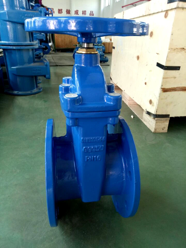 Ductile Iron Gate Valves for HDPE Pipes - Standard & Customized Support