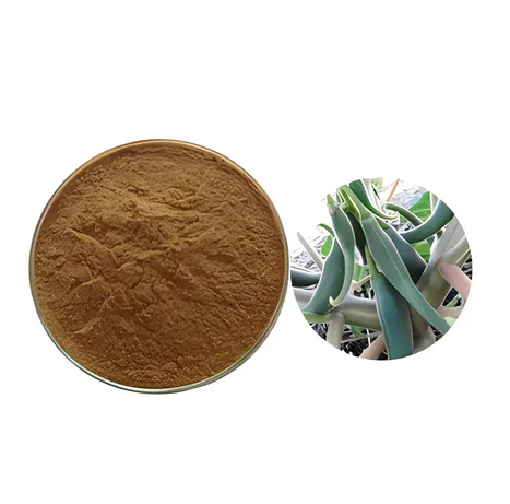 China Mochi Grass Extract Harpagoside Tentacle Devils Claws Extract ...